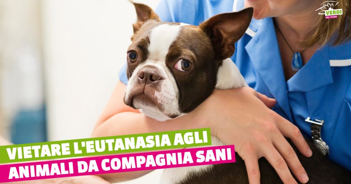 Vietare l'eutanasia agli animali da compagnia sani - discorso di Giulia ...